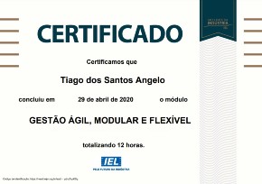 Currículo - Tiago dos Santos Angelo